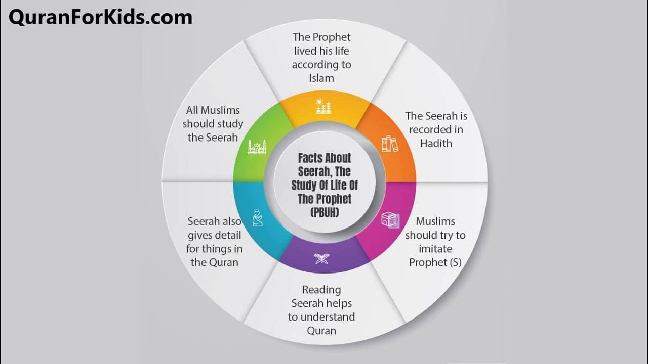 Facts and Study About Seerah Prophet Muhammad (PBUH)