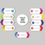 Prophet Muhammad (PBUH) – A Perfect Role Model