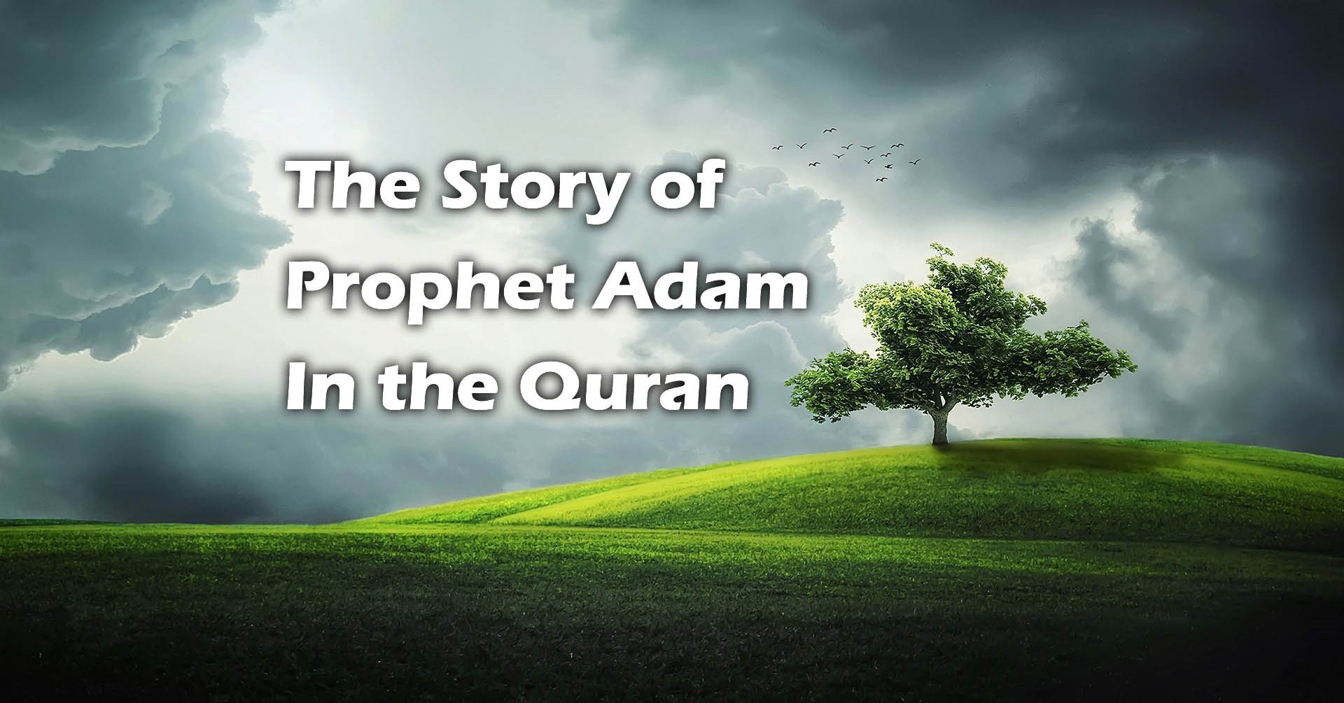 Quran Stories For Kids