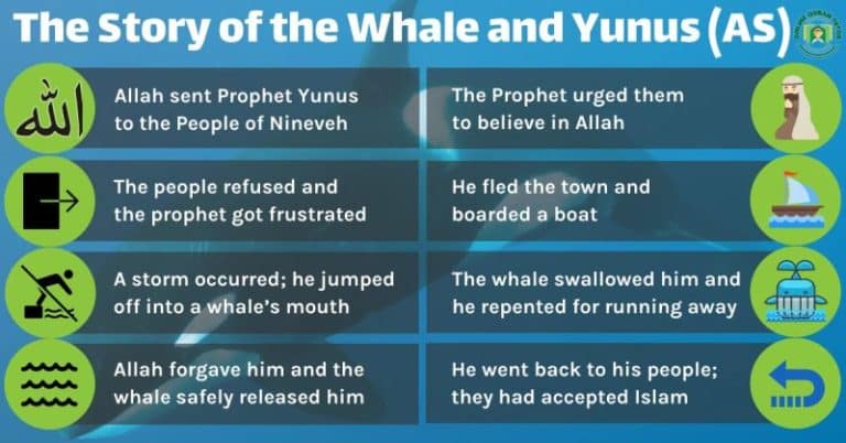 The Story of the Whale and Yunus (AS) in the Quran | Quran For kids